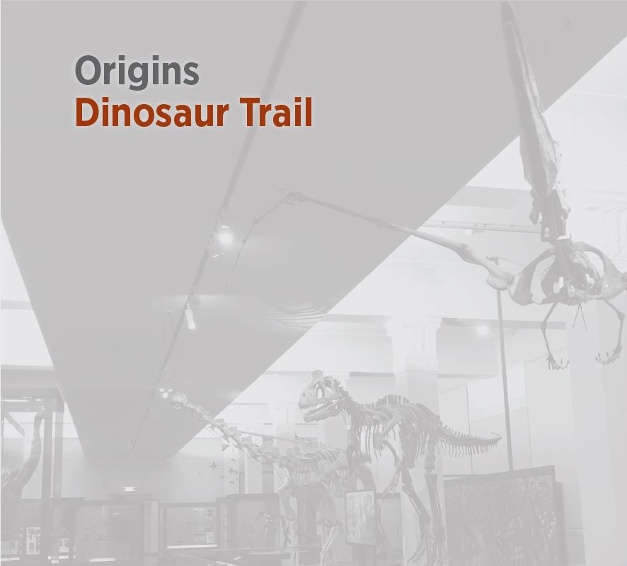 Origins Dinosaur Trail